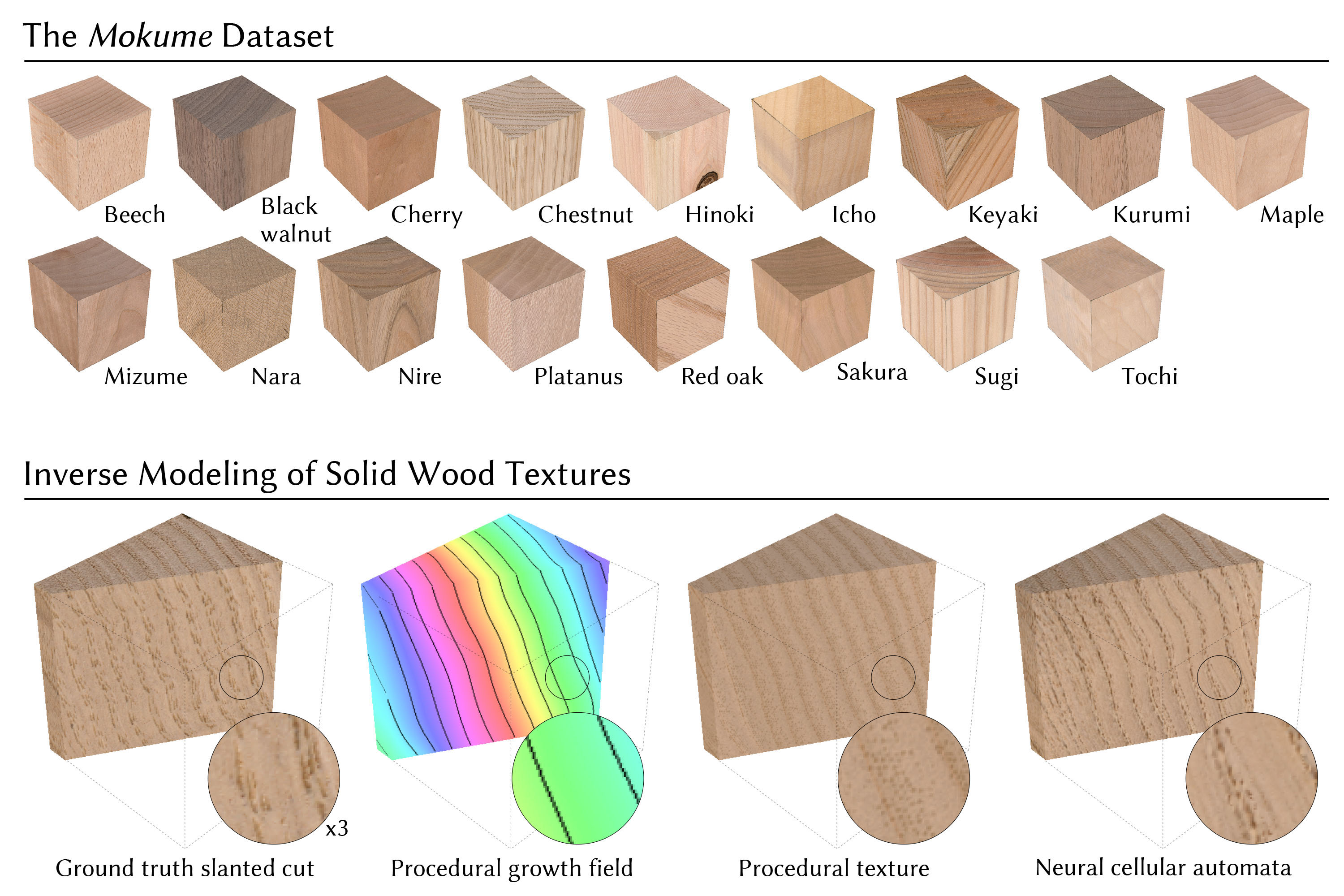 The Mokume Dataset and Inverse Modeling of Solid Wood Textures | RGL